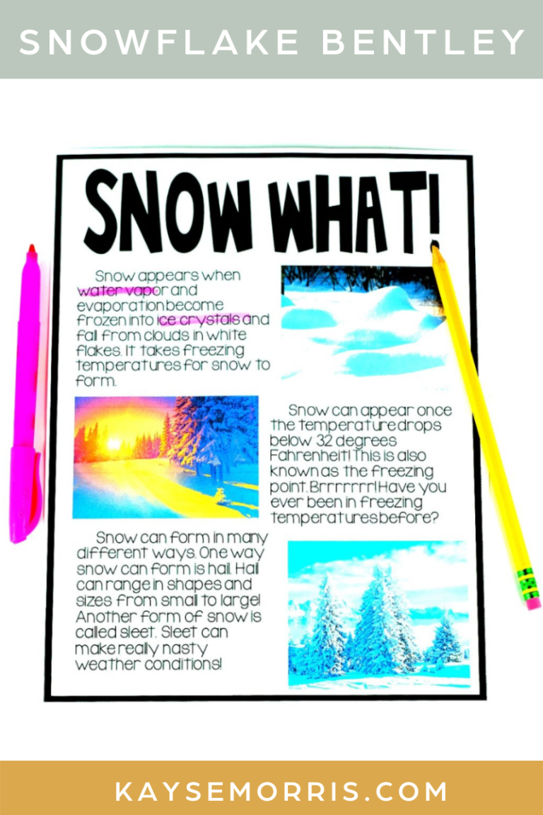 5 Easy Snowflake Bentley Activities · Kayse Morris